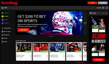 How to bet on Bodog: Review